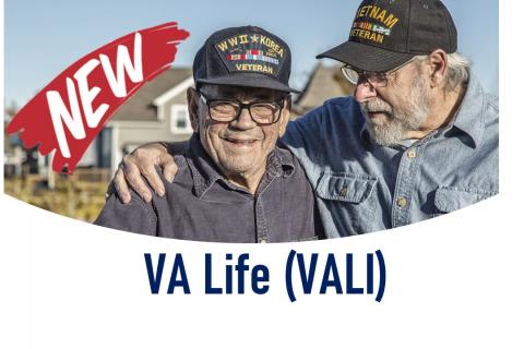 New Veterans Affairs Life Insurance Program (VALI) | VA Saginaw Health ...