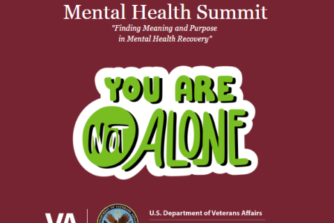 2023 VISN 12 VA Mental Health Summit | VA Tomah Health Care | Veterans ...