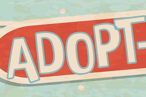 Adopt-A-Pot | VA Indiana Health Care | Veterans Affairs