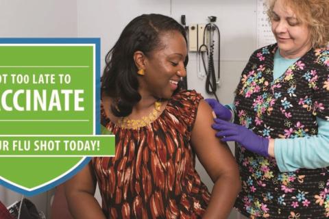 Not Too Late To Get A Flu Shot | VA Houston Health Care | Veterans Affairs