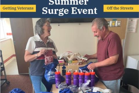 Albany VA Summer Surge, What Is It & How Can I Help? | VA Albany Health ...